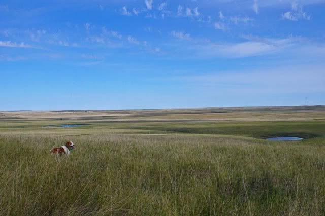 Where are you bringing your 30D, 40D and 50D this summer? | Page 3 | DPReview Forums